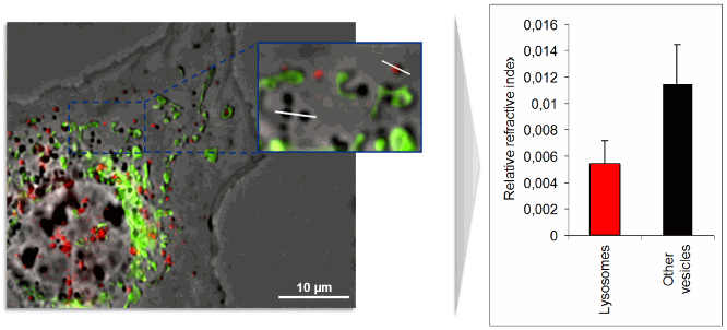 SID4Bio定量相位成像即插即用相机 | CoreAb|北京沫之东生物技术有限公司官网